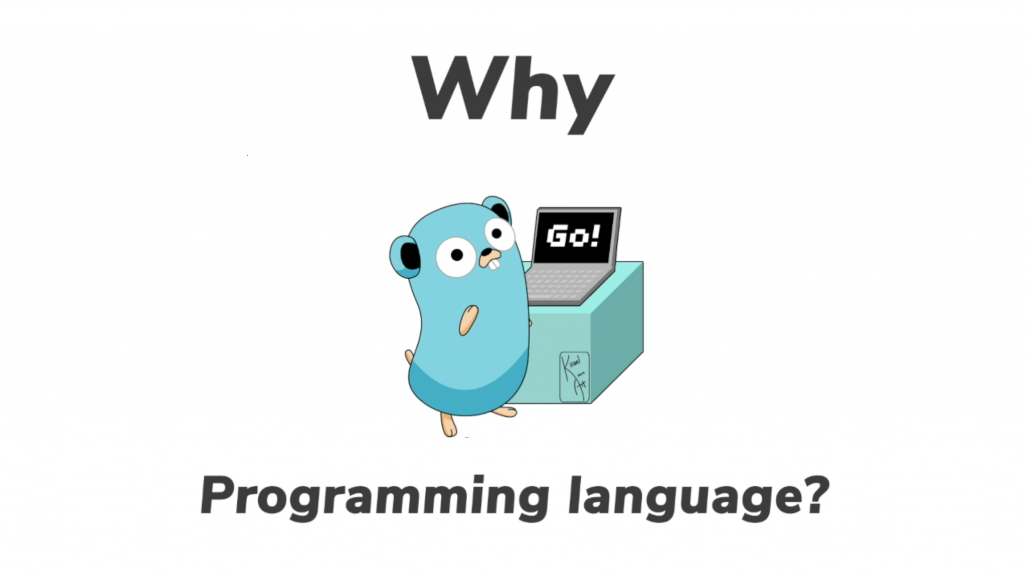 انواع زبان های برنامه نویسی - صدر اندیشه